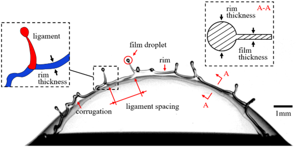 Effects of impurities on the bursting dynamics of large bubbles – Li ...