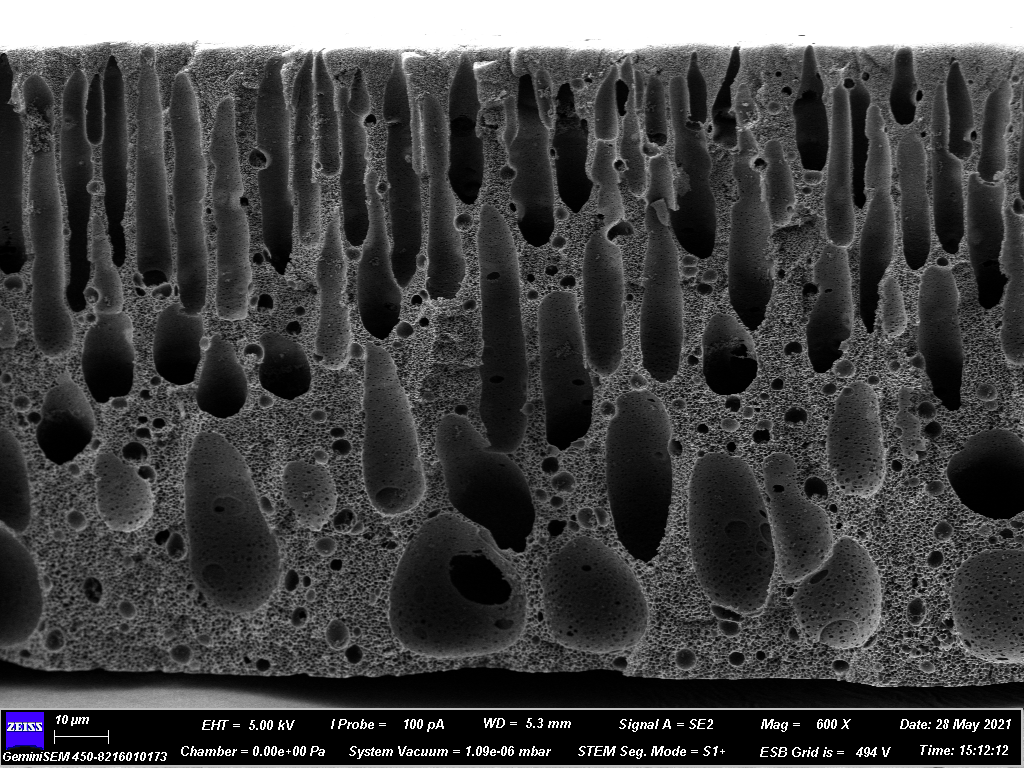 Scanning Electron Microscope – Electron Microscope Center
