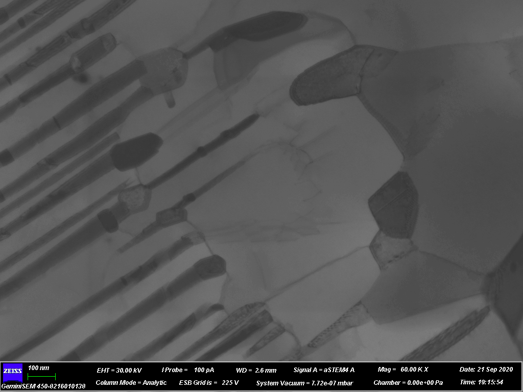 Scanning Electron Microscope – Electron Microscope Center