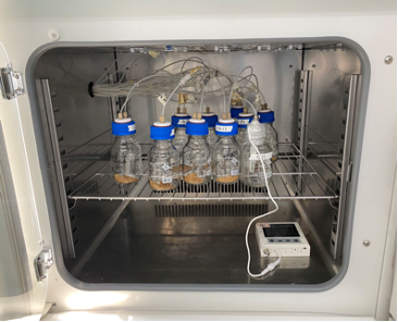 Research Projects – Food Sustainabiome Lab