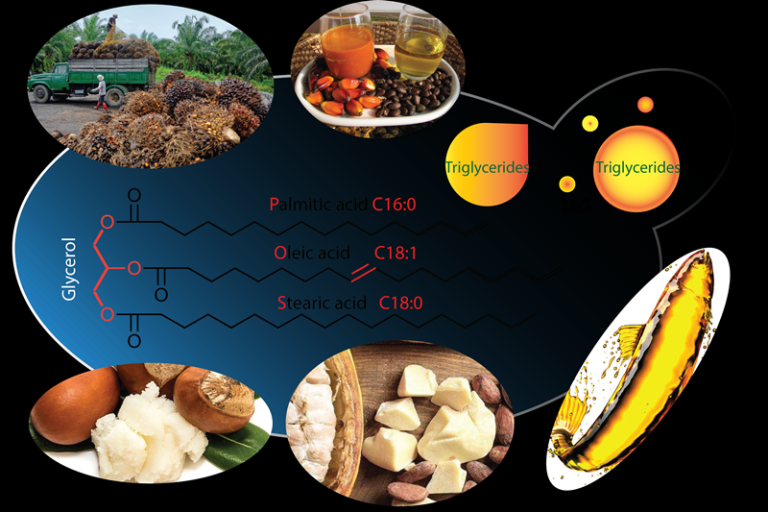 Entrepreneurial Projects – GTIIT-GTEC